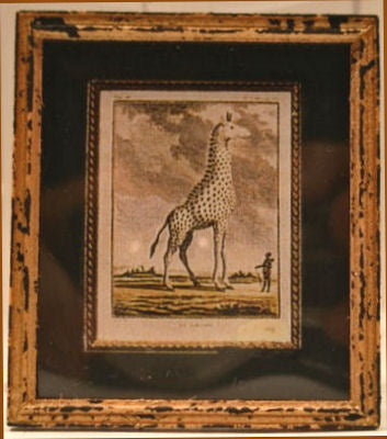 Safari Series: Rare White Giraffe Print – Miniature Designs, Inc.
